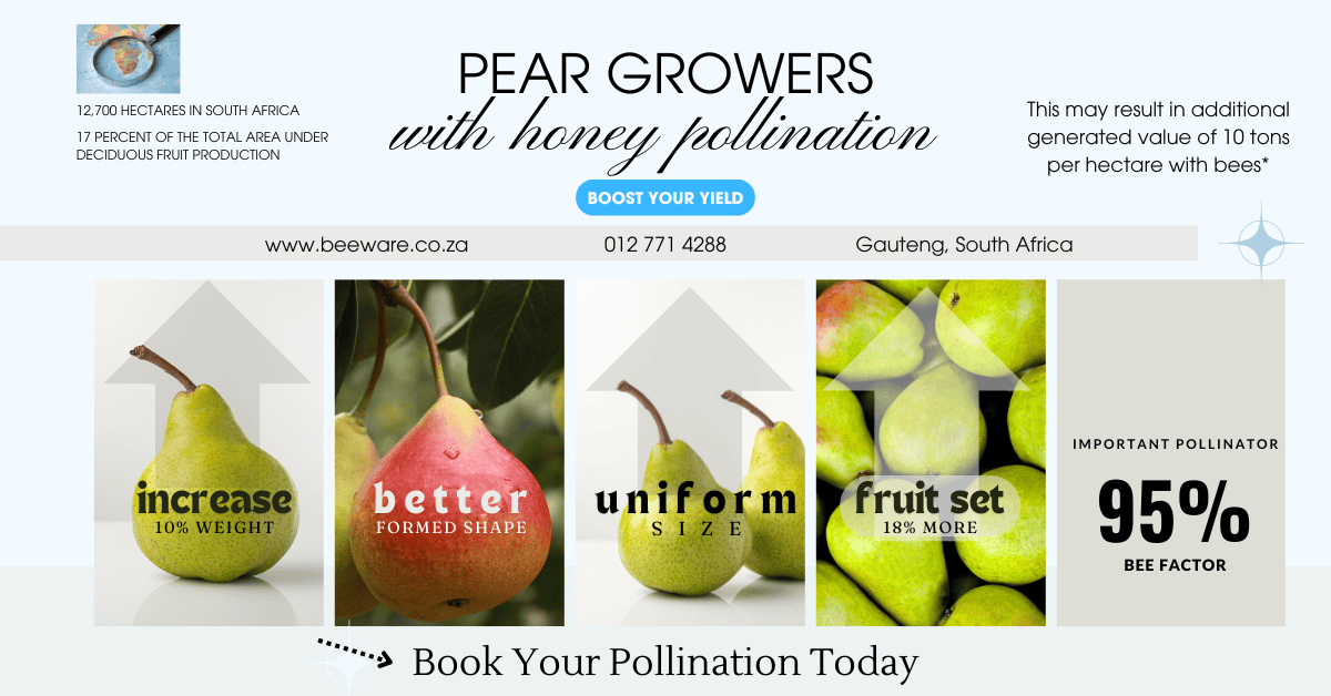 Pear Pollination Services in Western Cape, SA